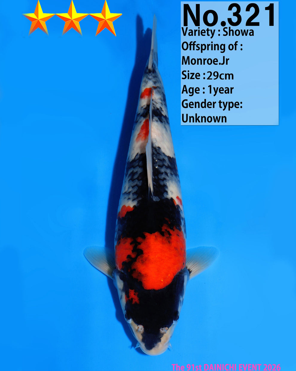 Showa – Selective Koi Sales