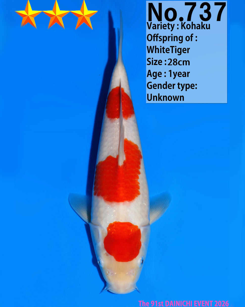 Kohaku – Selective Koi Sales