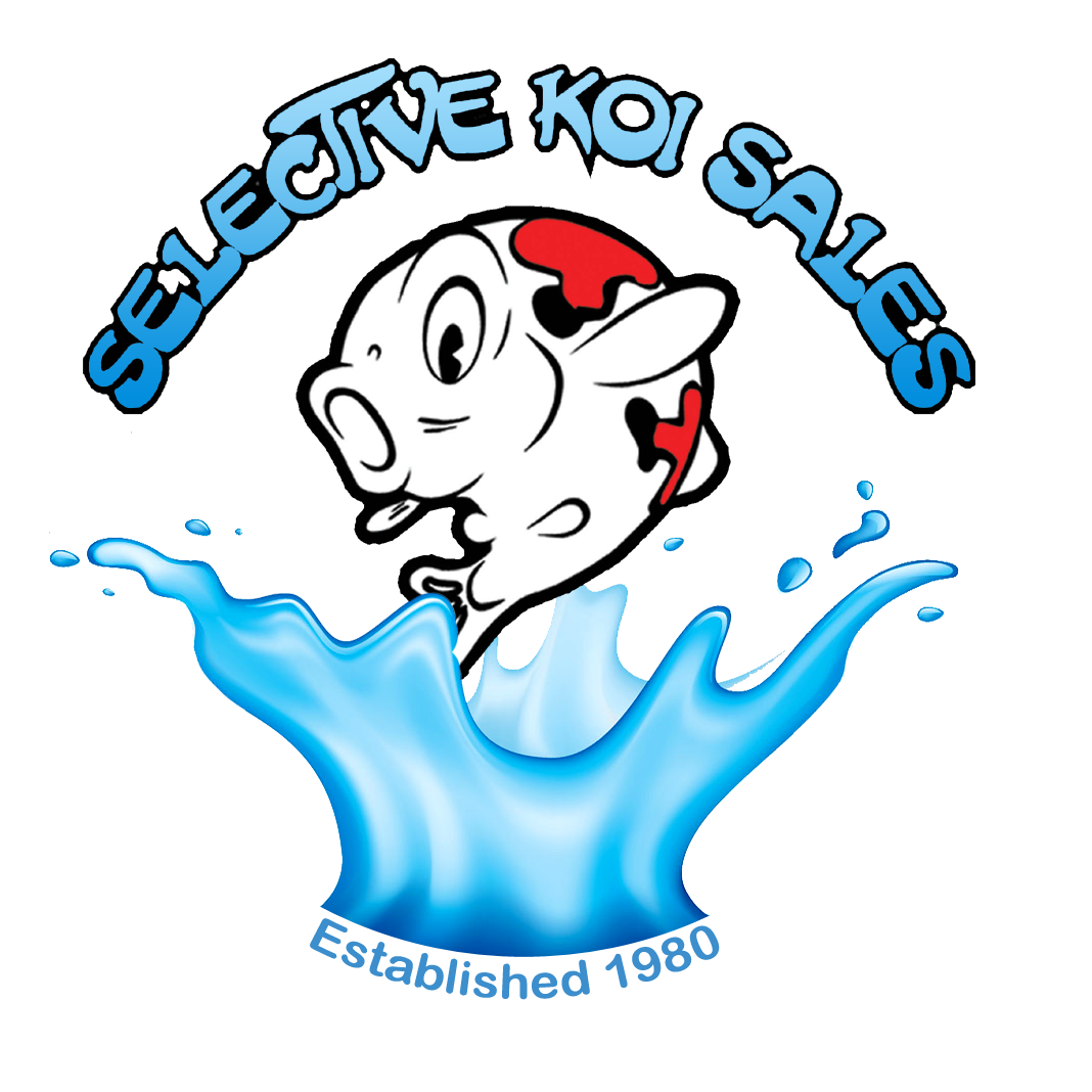 Products – Selective Koi Sales